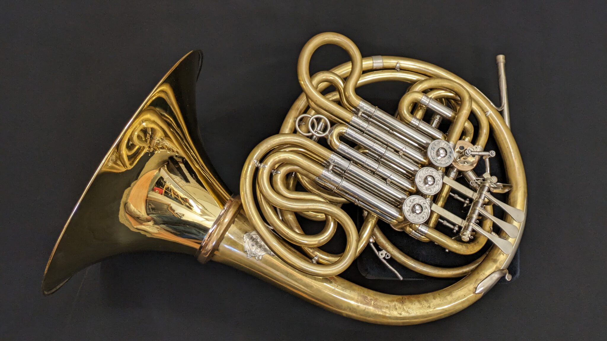 Alexander 103 | Woodhead Horns